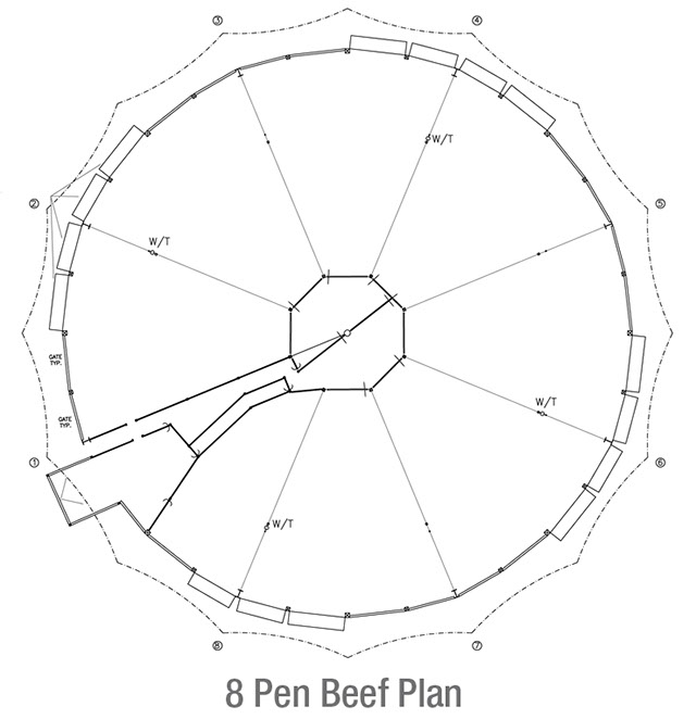 Roundhouse Building Solutions - Beef Cattle