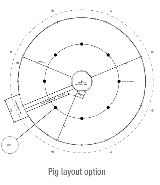 Roundhouse Building Solutions - Pigs